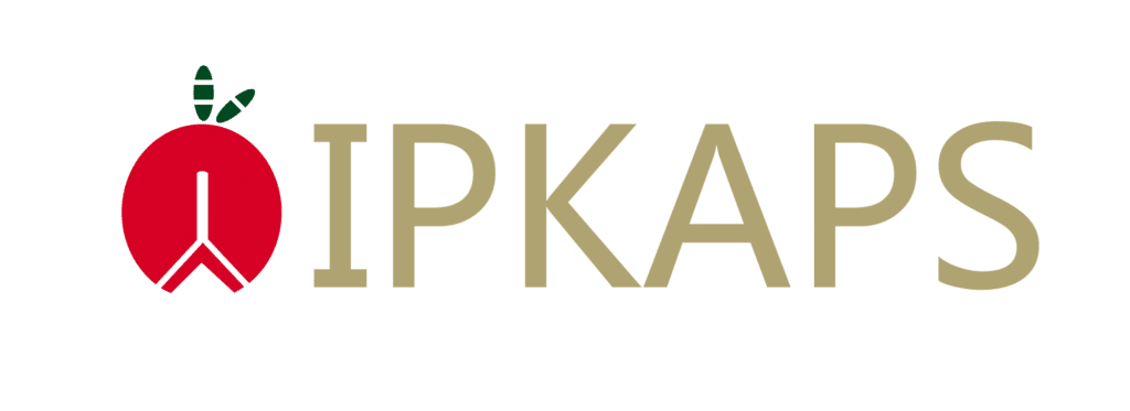 The Ultimate Guide to Ponte Fabric: Trends, Benefits, and Care - Yimeng ...